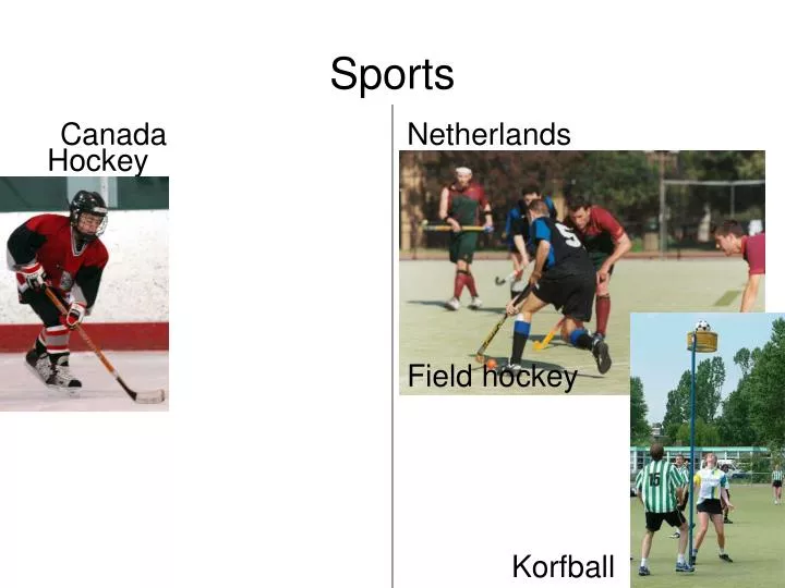 PPT - Sports PowerPoint Presentation, free download - ID:6062068