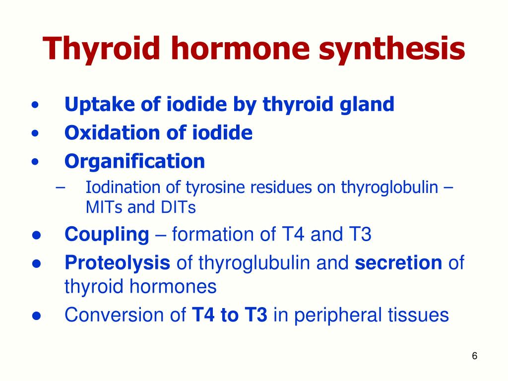 Ppt Thyroid Drugs Powerpoint Presentation Free Download Id 6062414
