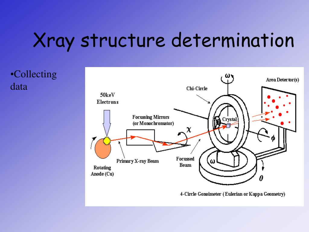 PPT - Nobel Prize in Chemistry 2006 Roger D Kornberg Molecular basis of ...