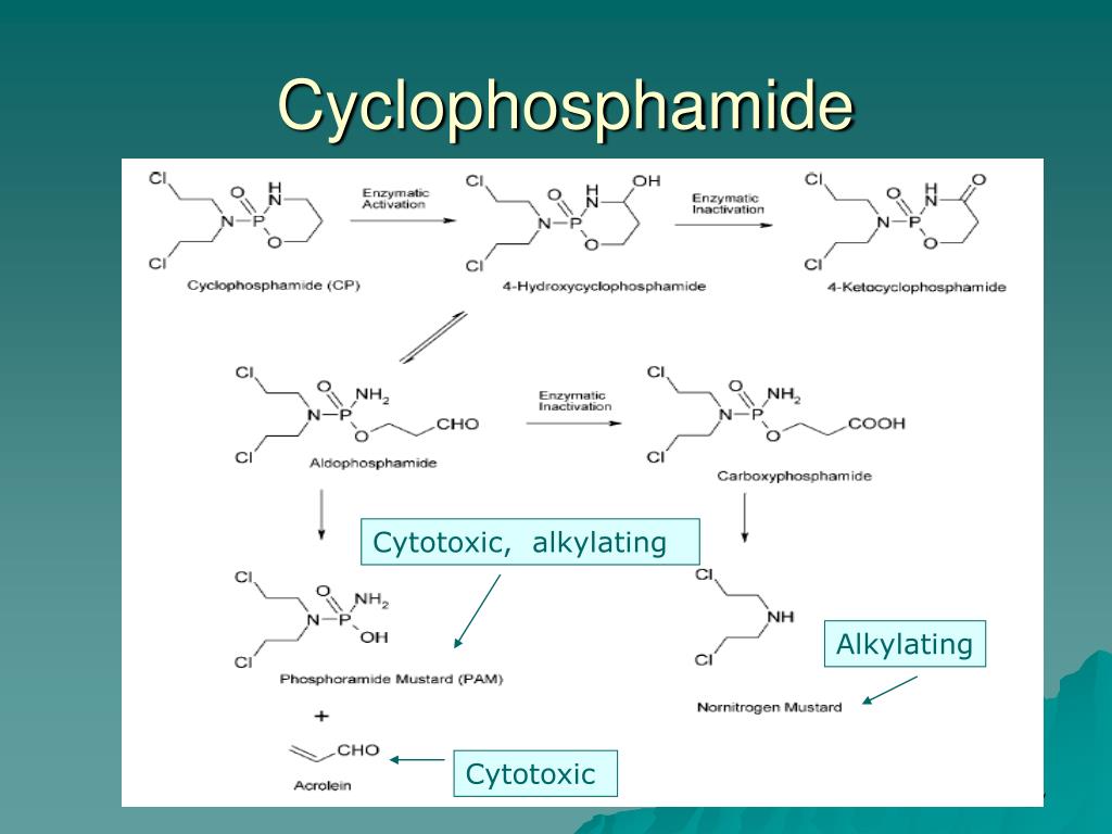 PPT - Understanding Mutagenic MOA in Carcinogens: The Burden of Proof ...