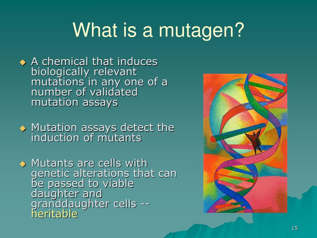 PPT - Understanding Mutagenic MOA in Carcinogens: The Burden of Proof ...