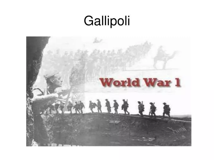 PPT - Gallipoli PowerPoint Presentation, free download - ID:6065767