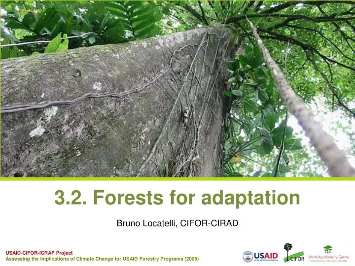 PPT - 3.2. Forests for adaptation PowerPoint Presentation, free download - ID:6066687