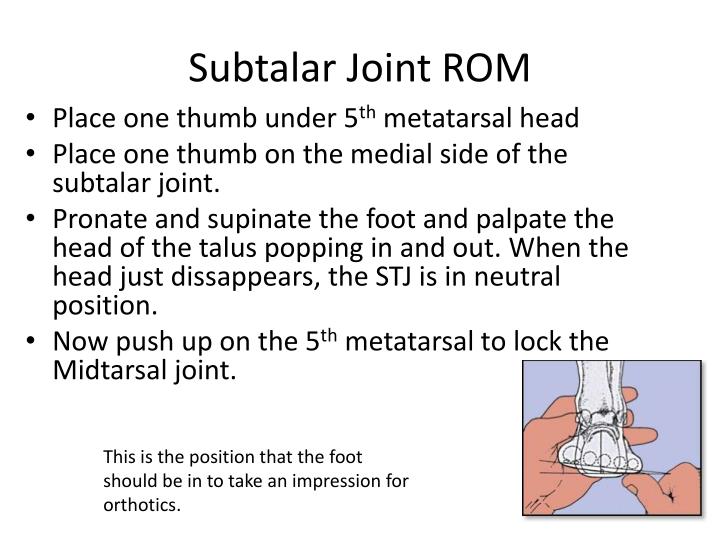 PPT - Biomechanical Examination PowerPoint Presentation - ID:6066847