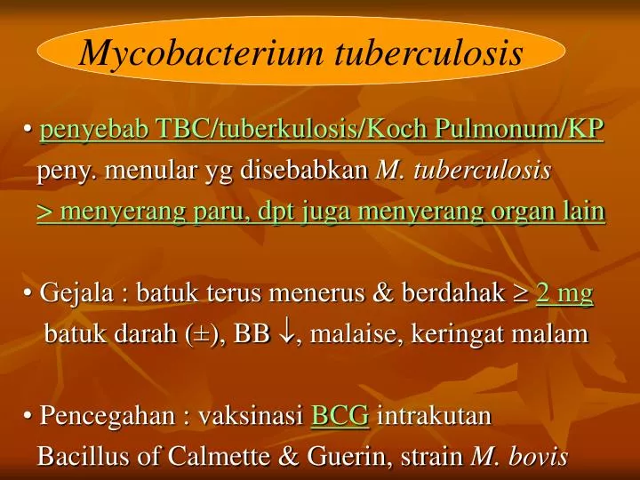 PPT - • penyebab TBC/tuberkulosis/Koch Pulmonum/KP peny. menular yg disebabkan M. tuberculosis ...