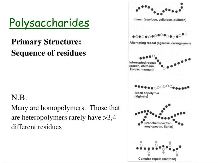 PPT - POLYSACCHARIDE STRUCTURE PowerPoint Presentation - ID:6067853