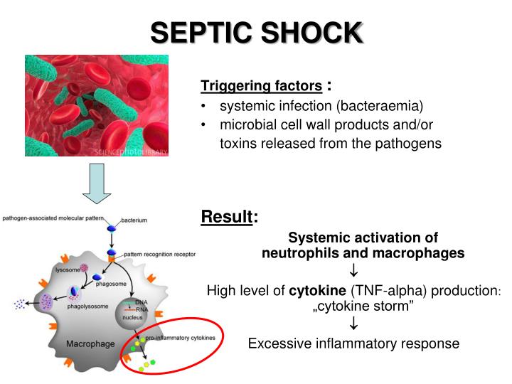 PPT - DEFINITION AND PROPERTIES OF ANTIGEN IMMUNOLOGICAL DEFINITION Any ...