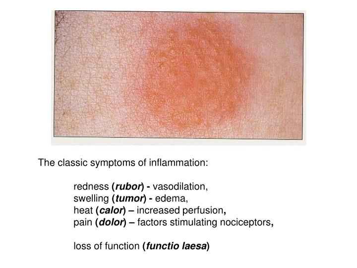 PPT - DEFINITION AND PROPERTIES OF ANTIGEN IMMUNOLOGICAL DEFINITION Any ...