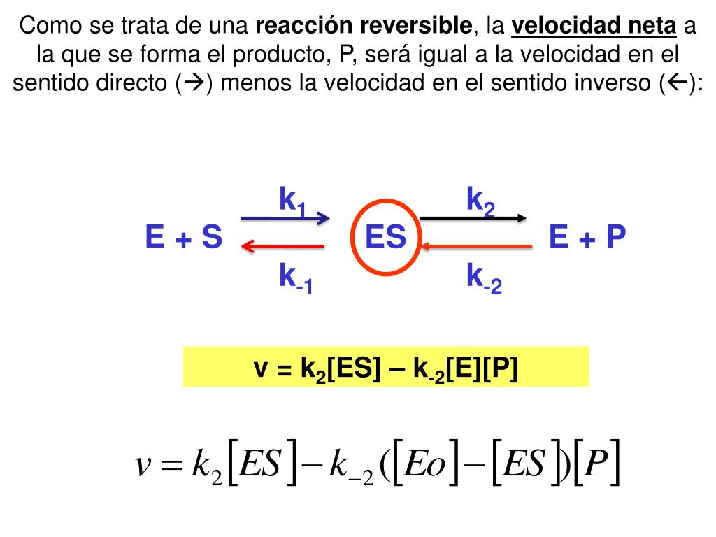 PPT - Tema: 13 CINÉTICA ENZIMÁTICA : REACCIONES REVERSIBLES PowerPoint ...