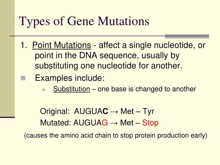 PPT - Protein Synthesis Notes PowerPoint Presentation - ID:6070192