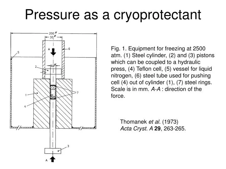 PPT - Pressure as a cryoprotectant PowerPoint Presentation, free ...