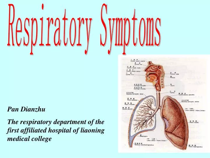 PPT - Respiratory Symptoms PowerPoint Presentation, free download - ID ...