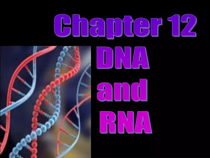 PPT - Chapter 12 DNA and RNA PowerPoint Presentation, free download ...