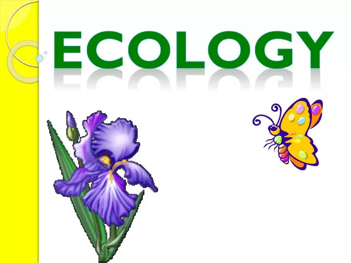 PPT - Ecology PowerPoint Presentation, free download - ID:6074331 PPT - Ecology PowerPoint Presentation, free download - ID:6074331