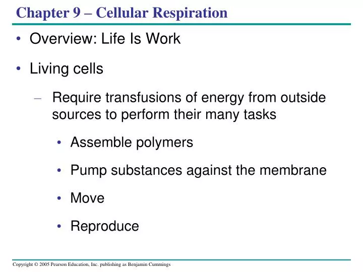 PPT - Chapter 9 – Cellular Respiration PowerPoint Presentation, free download - ID:6074376