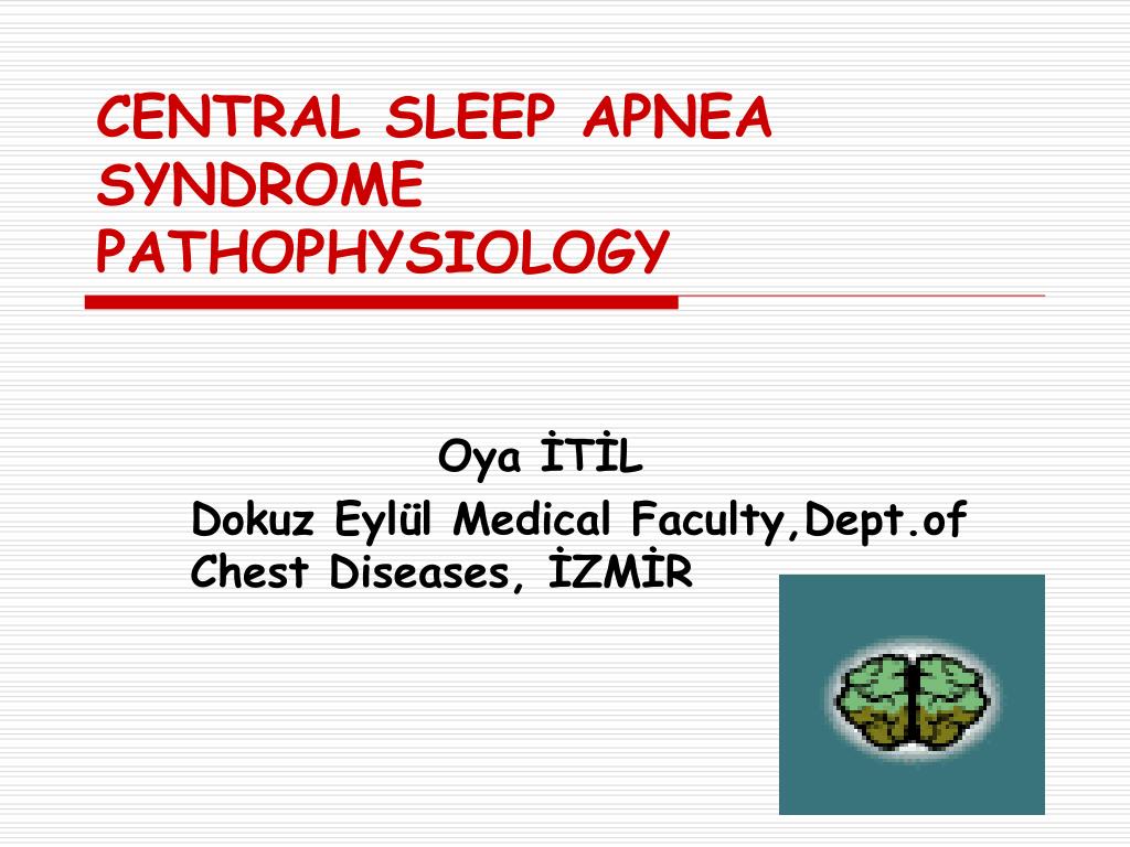 PPT - CENTRAL SLEEP APNEA SYNDROME PATHOPHYSIOLOGY PowerPoint ...