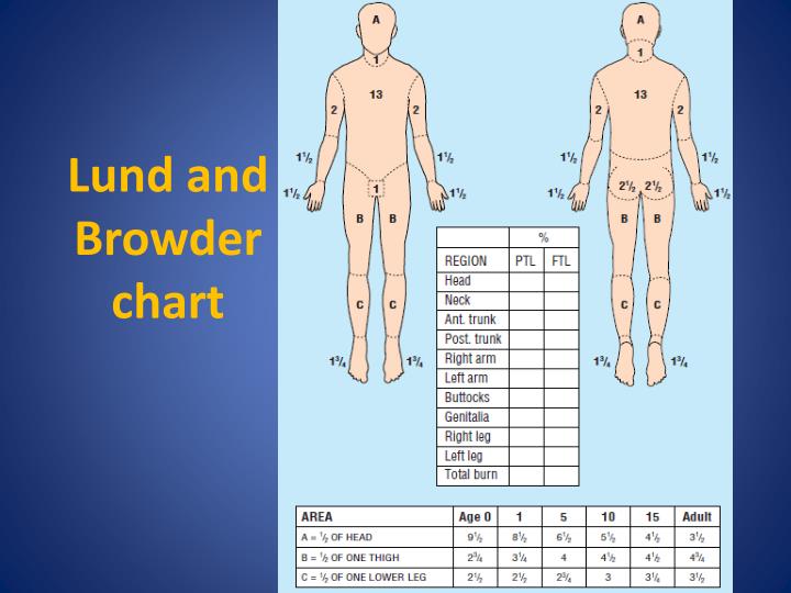 PPT - BURN PATHOPHYSIOLOGY PowerPoint Presentation - ID:6076047