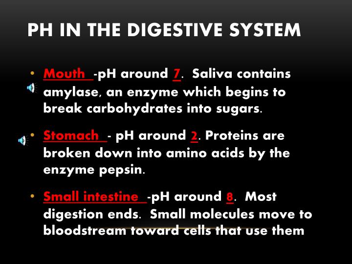 PPT - ACIDS AND BASES PowerPoint Presentation - ID:6076300