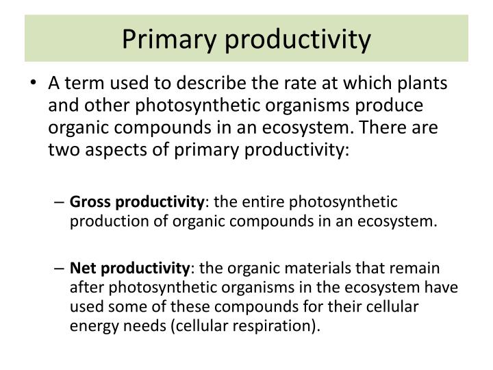 PPT - Ecology PowerPoint Presentation - ID:6076490