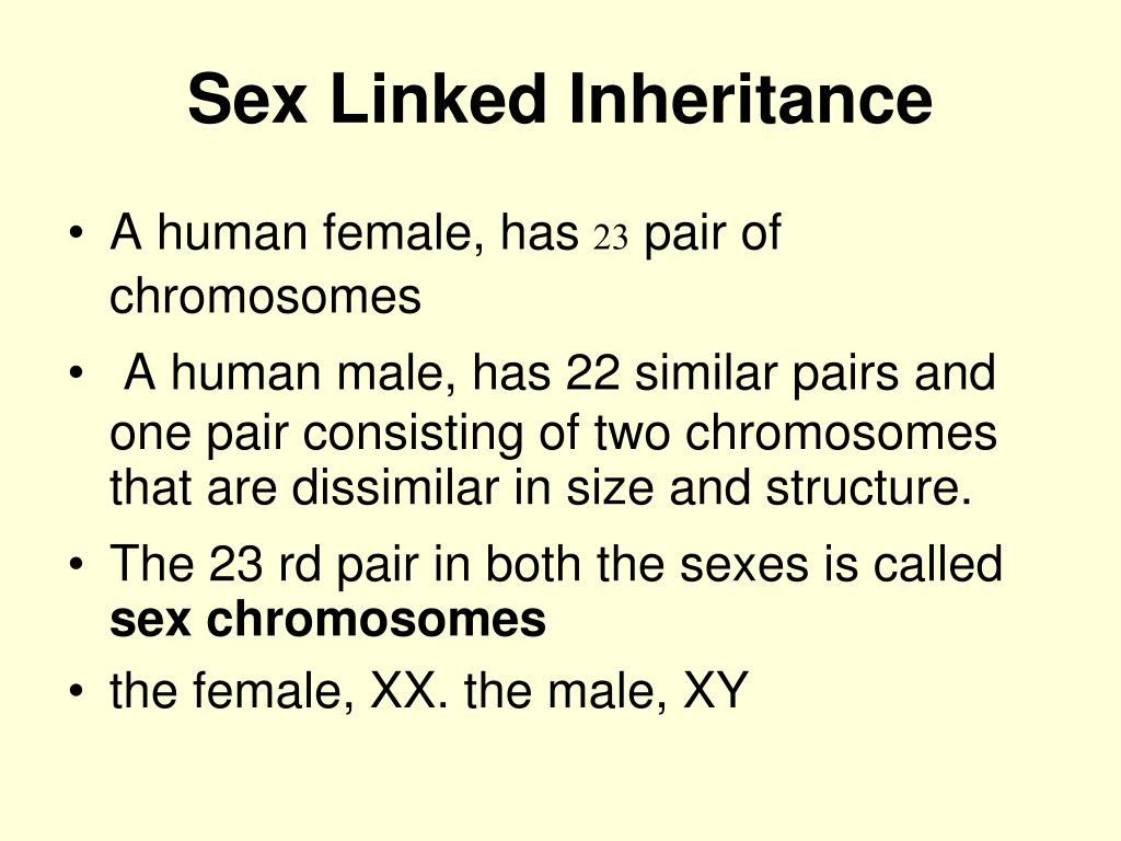 Ppt Sex Linked Inheritance Powerpoint Presentation Free Download