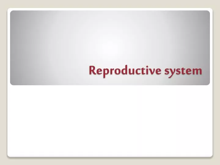 PPT - Reproductive system PowerPoint Presentation, free download - ID ...