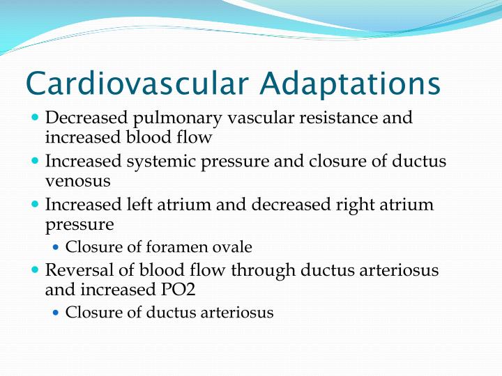PPT - Neonatal Nursing Care Part 1 Physiological Adaptation of the ...