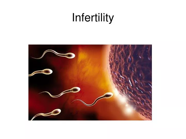 PPT - Infertility PowerPoint Presentation, free download - ID:6079581