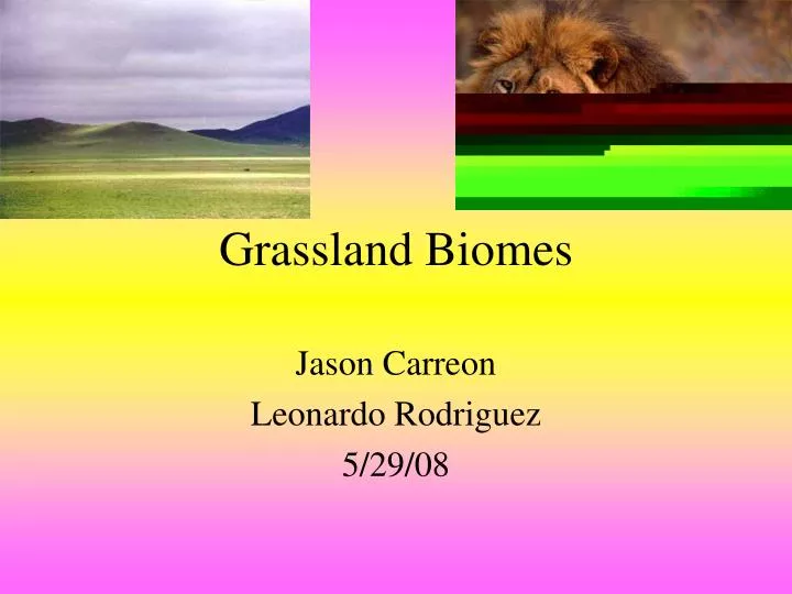 PPT - Grassland Biomes PowerPoint Presentation, free download - ID:6079789
