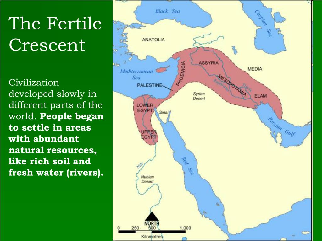 PPT - The Agricultural Revolution: Transforming Early Civilizations in ...