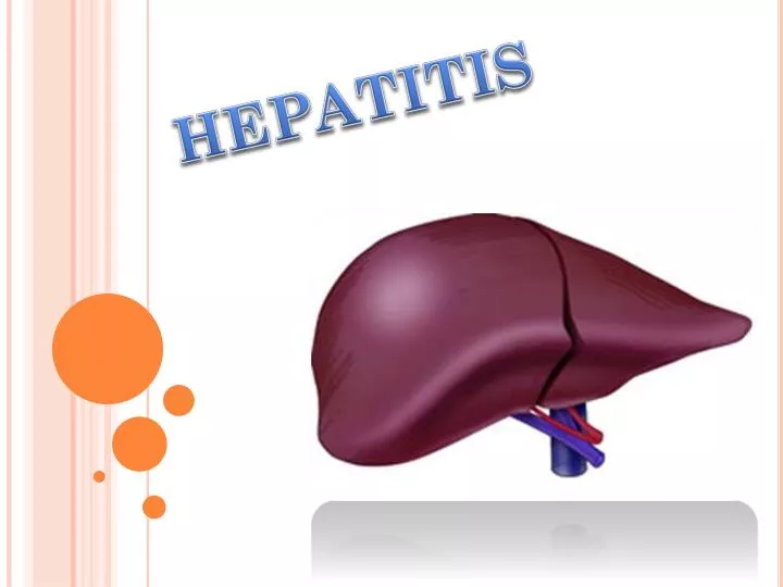PPT - HEPATITIS PowerPoint Presentation, free download - ID:6081037