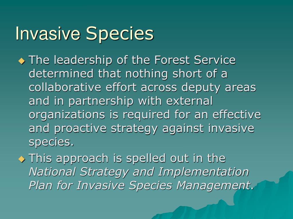PPT - Managing Invasive Species: Safeguarding Our Forests and ...