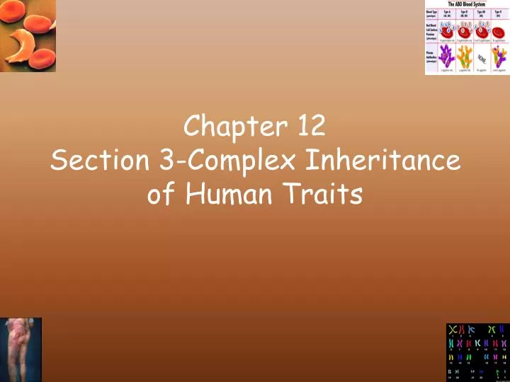 PPT - Chapter 12 Section 3-Complex Inheritance of Human Traits ...