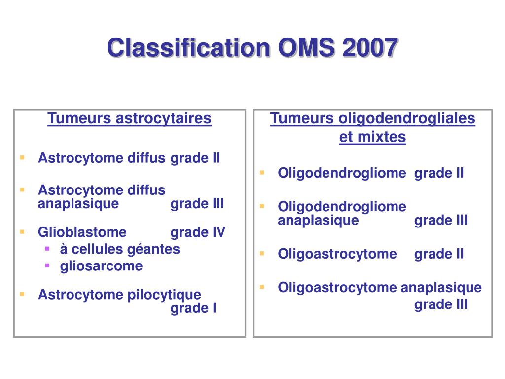 PPT - Tumeurs gliales infiltrantes PowerPoint Presentation, free ...