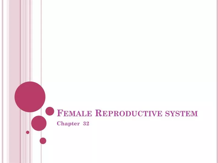 PPT - Female Reproductive system PowerPoint Presentation, free download ...