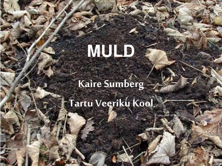 PPT - MULD PowerPoint Presentation, free download - ID:6085805