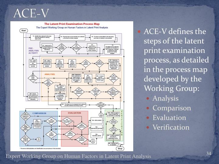 PPT - Recent Trends in Fingerprint Evidence PowerPoint Presentation ...