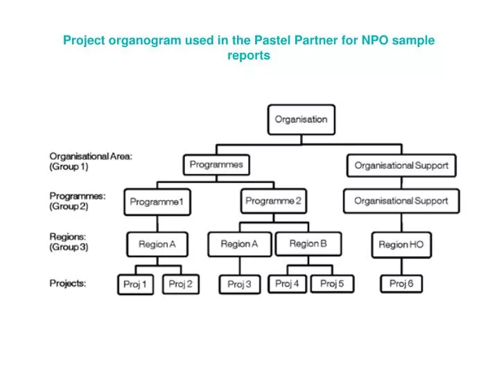 PPT - Project organogram used in the Pastel Partner for NPO sample ...
