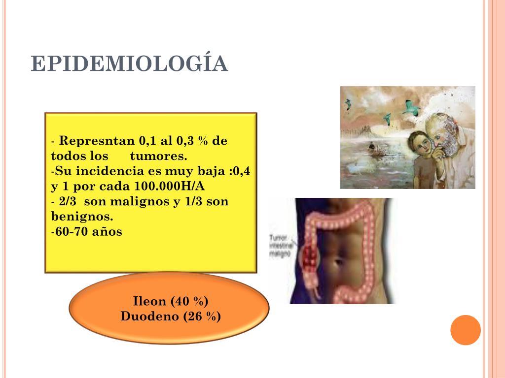 PPT - TRASTORNOS VASCULARES INTESTINALES Y TUMORACIONES DE INTESTINO ...
