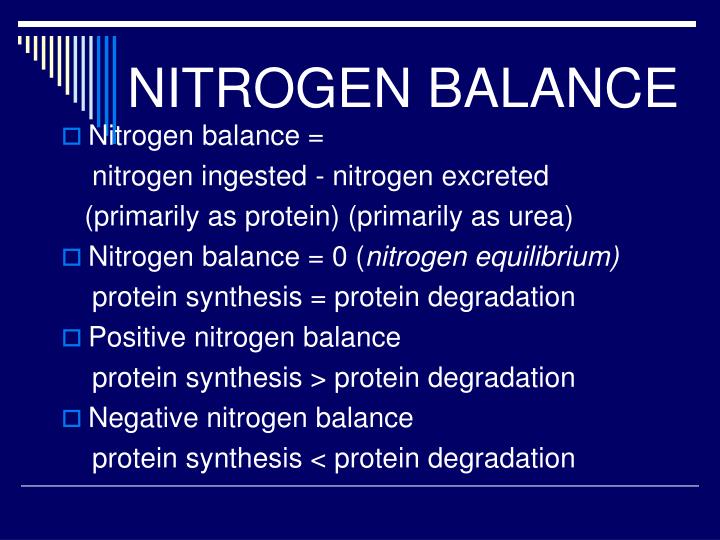 PPT - PROTEIN METABOLISM PowerPoint Presentation - ID:6090465