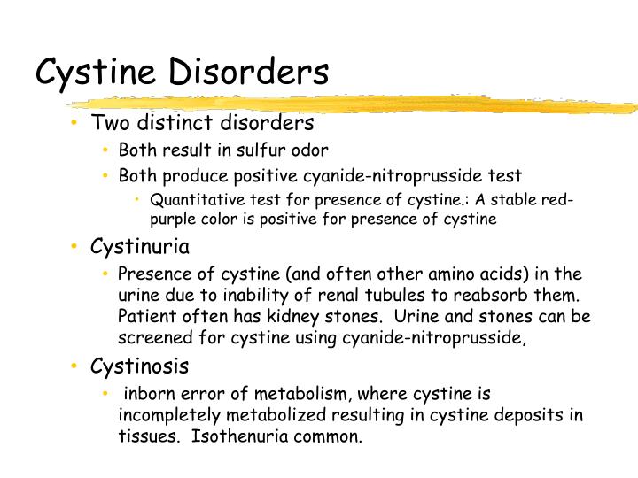 PPT - Urinalysis and Body Fluids CRg PowerPoint Presentation - ID:6090651