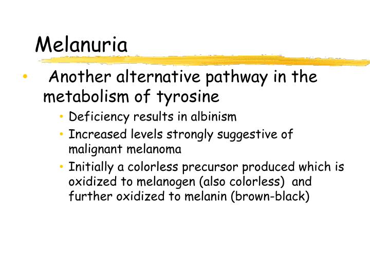 PPT - Urinalysis and Body Fluids CRg PowerPoint Presentation - ID:6090651