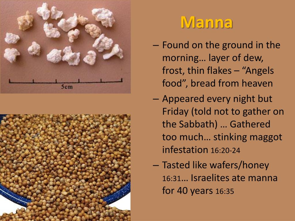 PPT - “Ten Commandments” 1445BC – Exodus 16-20 (Page 51) & Selected ...