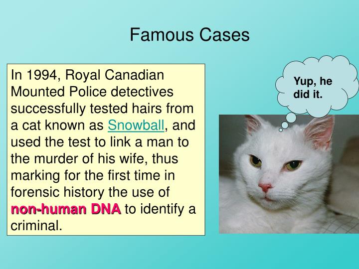 PPT - DNA Fingerprinting PowerPoint Presentation - ID:6091471