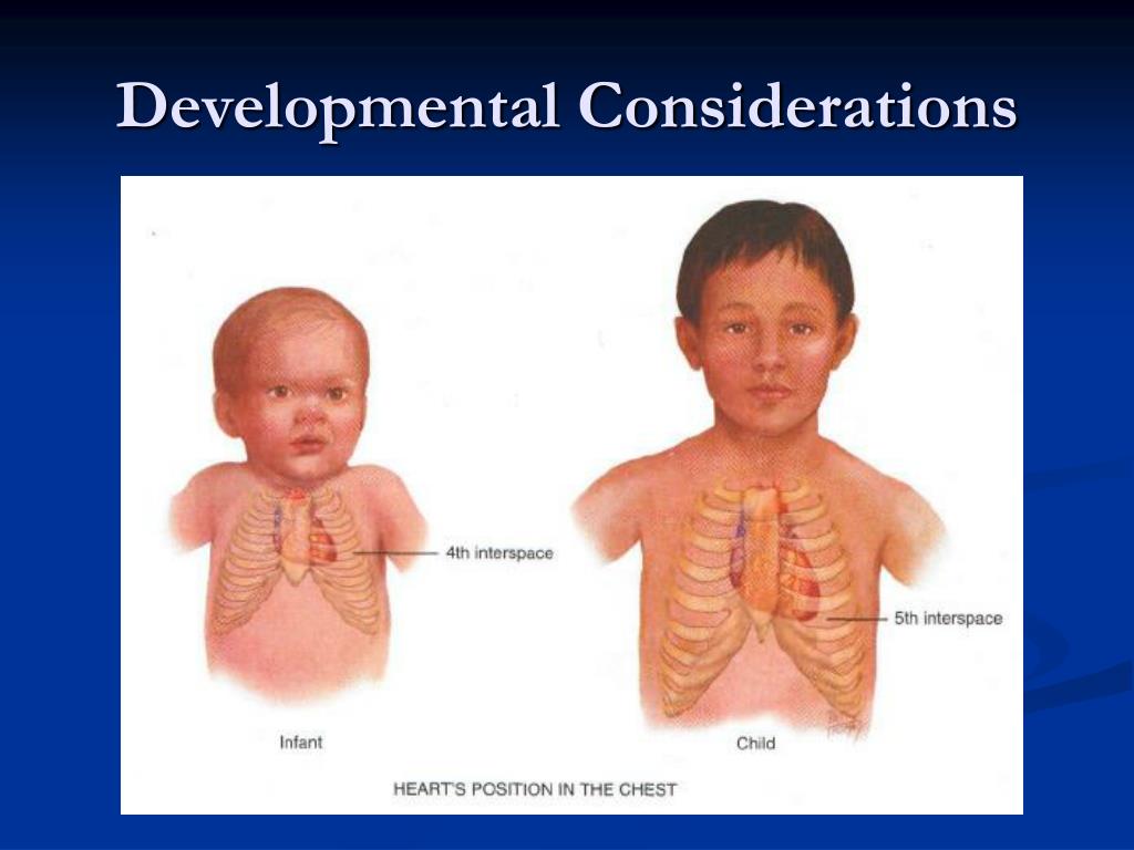 PPT - Heart and Neck Vessels PowerPoint Presentation, free download ...