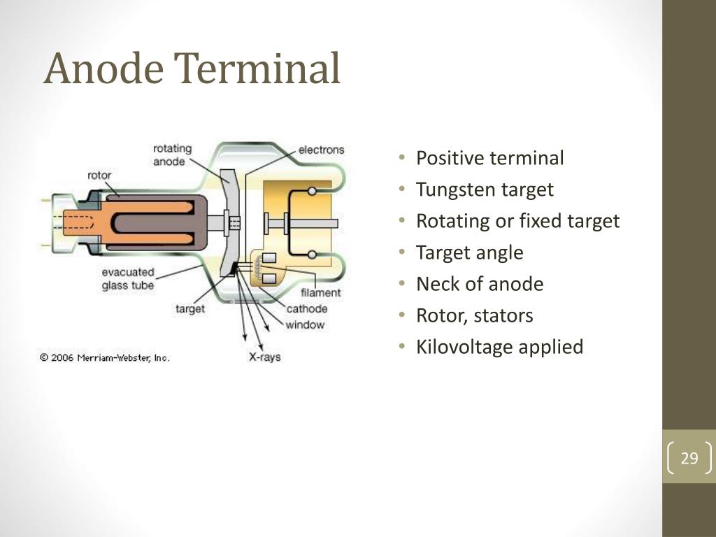 PPT - Radiation and Fluoroscopic Equipment PowerPoint Presentation ...