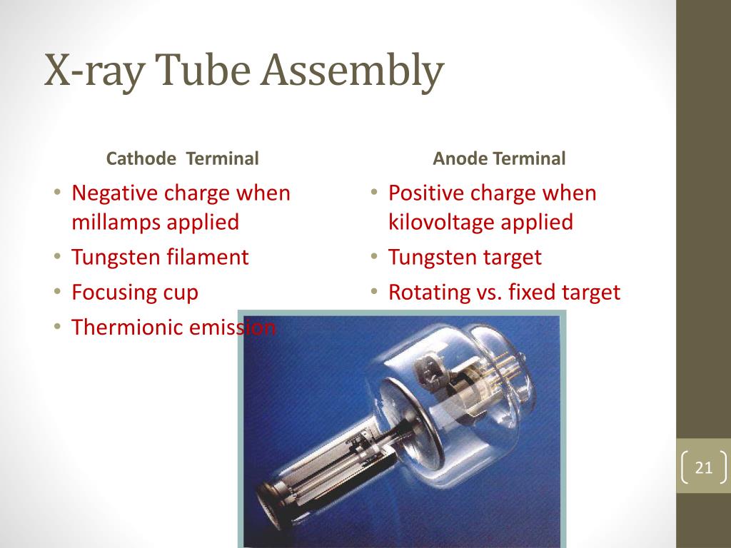 PPT - Radiation and Fluoroscopic Equipment PowerPoint Presentation ...