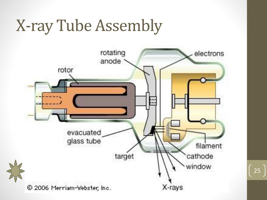 PPT - Radiation and Fluoroscopic Equipment PowerPoint Presentation ...