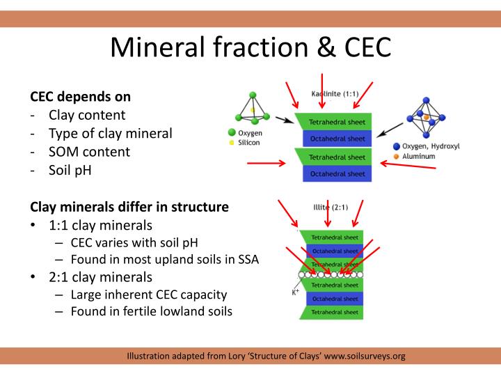 PPT - Soil & soil fertility PowerPoint Presentation - ID:6095416
