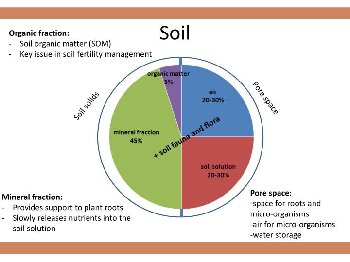 PPT - Soil & soil fertility PowerPoint Presentation - ID:6095416