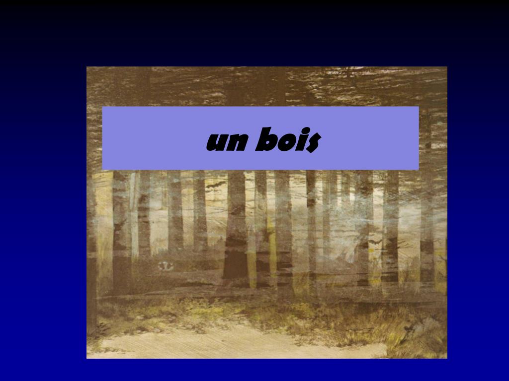 PPT - Une histoire sombre, très sombre PowerPoint Presentation, free ...